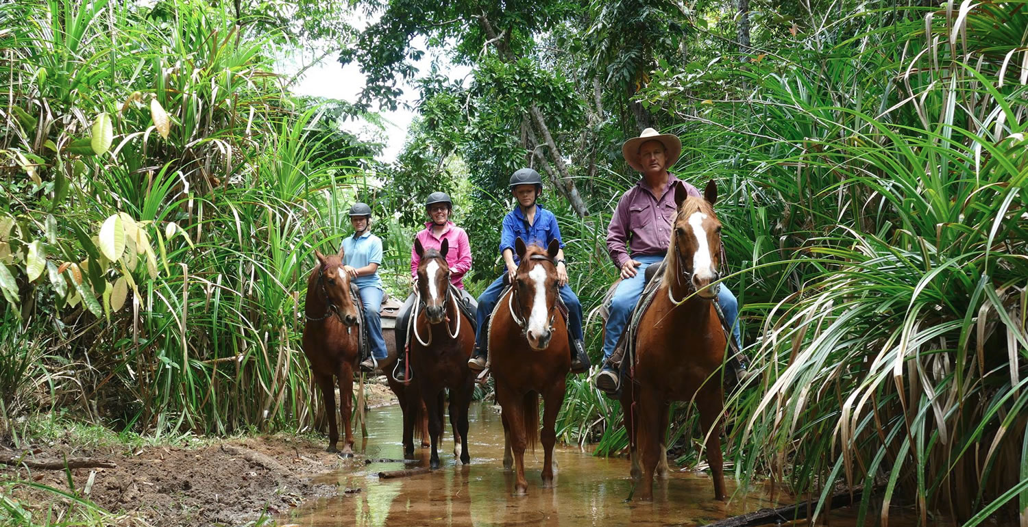 Reinsdown Horse Riding | Mission Beach and Tully, North Queensland